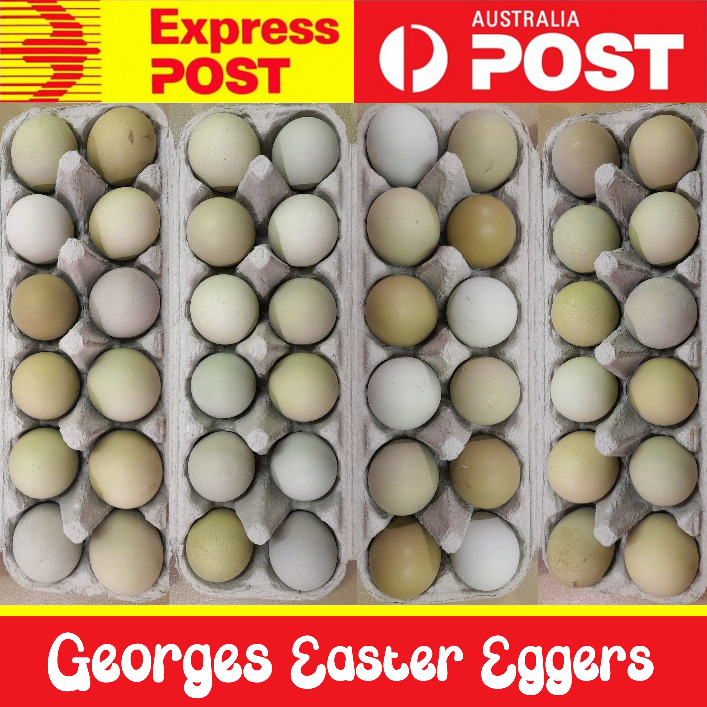 dozen easter egger eggs